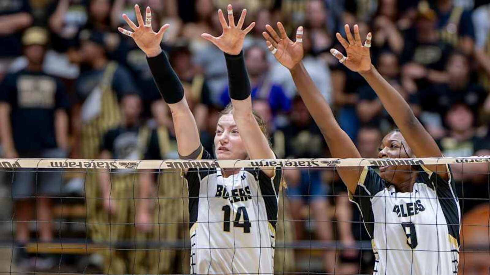Grace Heaney's Career Day Fuels Purdue's Reverse Sweep Over Minnesota ...