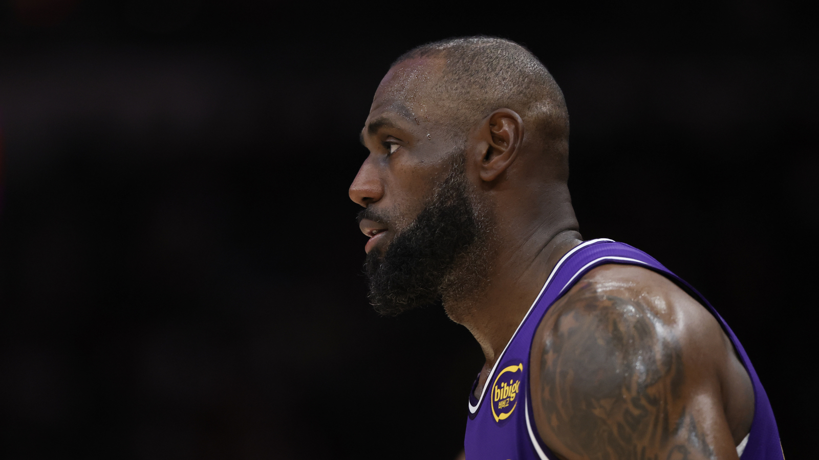 LeBron James Escapes 'Sneaky' Alligator as Bronny James Witnesses ...