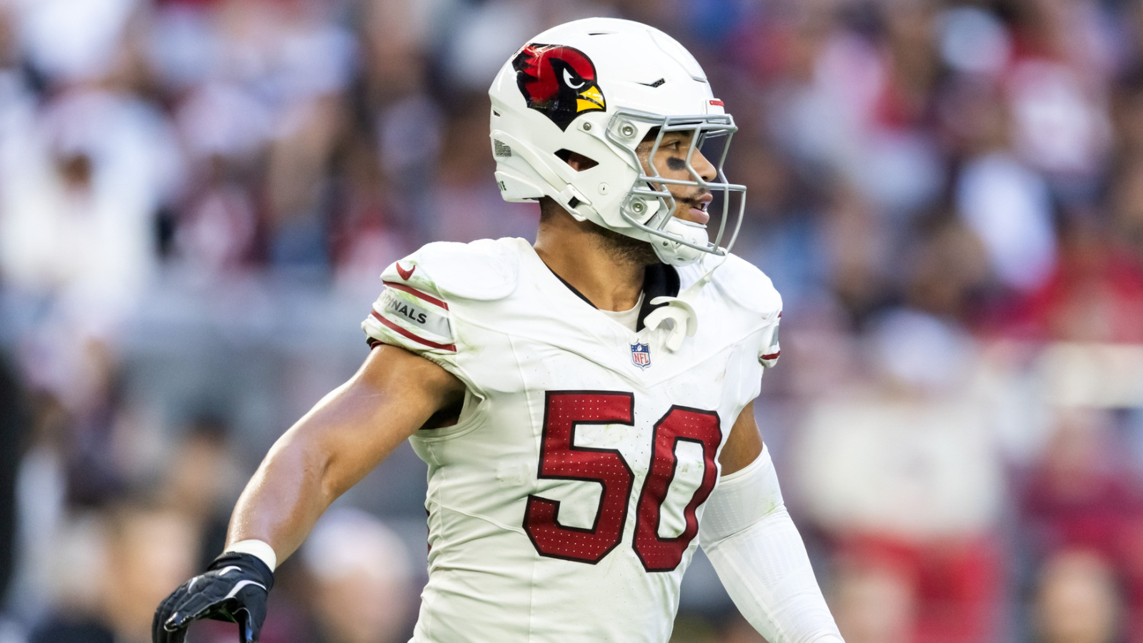 Which 2nd-year Cardinals player in line for biggest leap? | Yardbarker