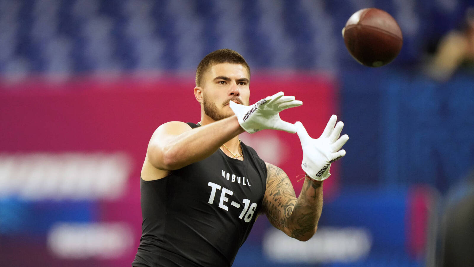 Jared Wiley Beyond Excited To Learn From Travis Kelce | Yardbarker
