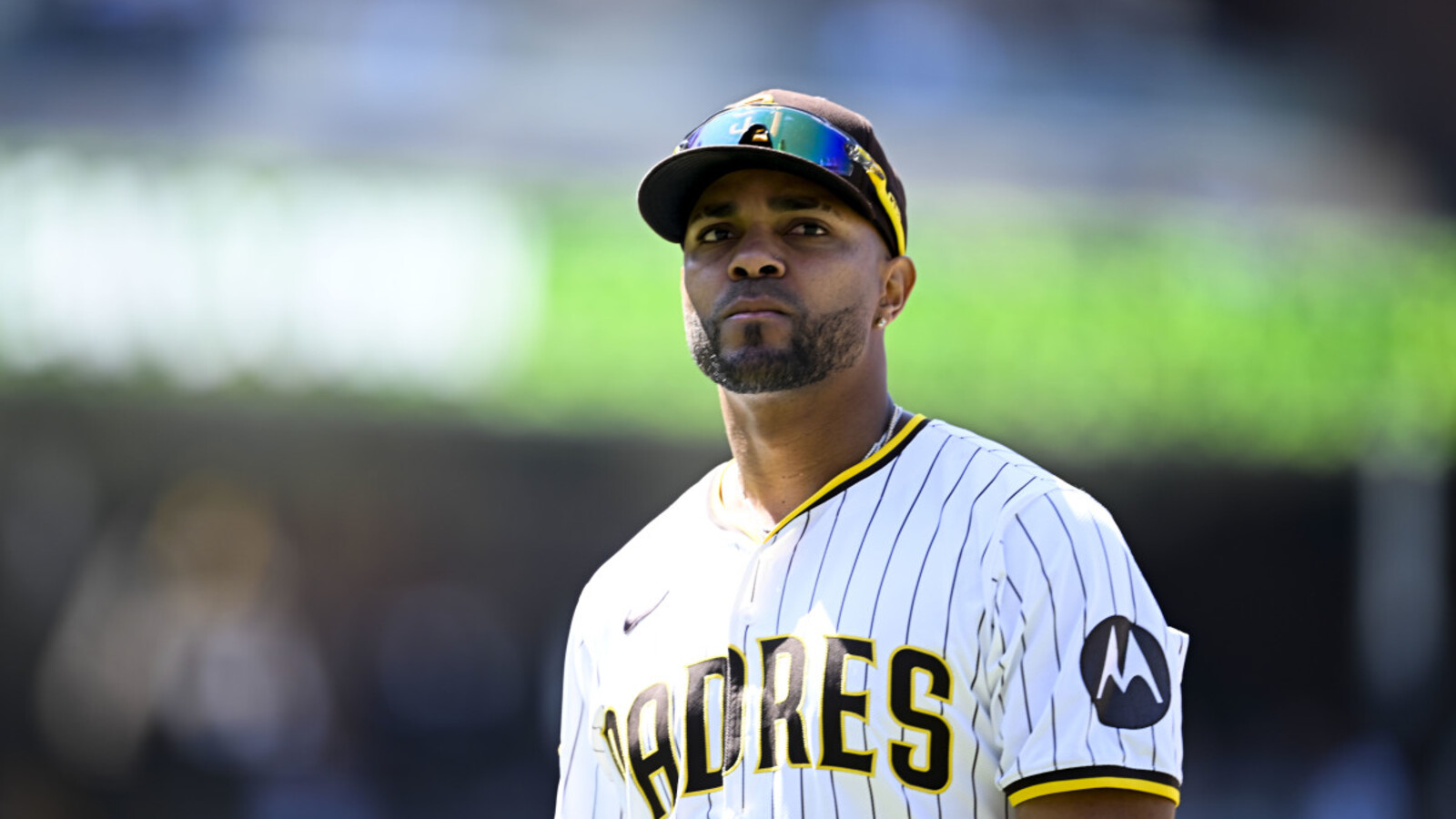 Padres Announce Move After Xander Bogaerts News | Yardbarker