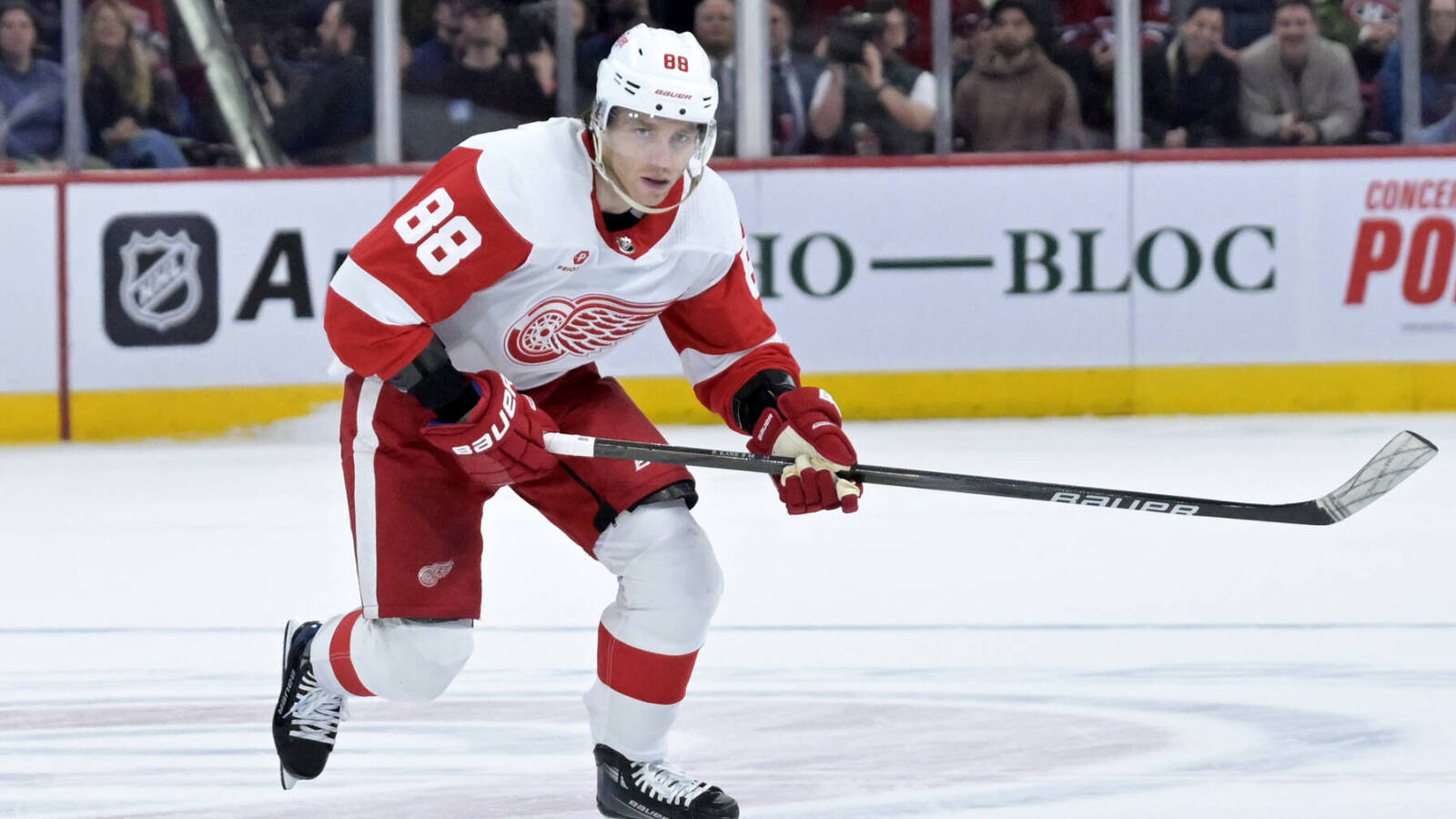 Red Wings Can Probably Color Kane Gone | Yardbarker