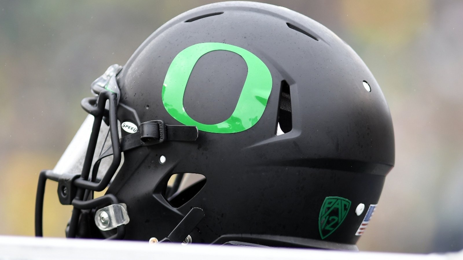 Bengals hire Oregon assistant Jordan Salkin to offensive coaching staff ...