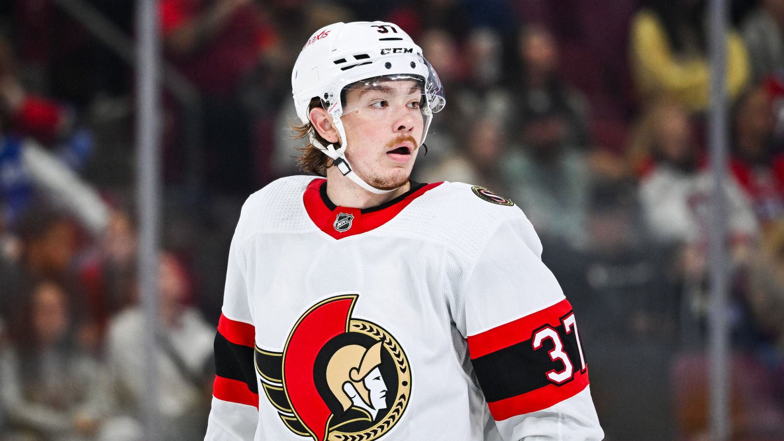 Ottawa Senators Recall Defenseman From Belleville | Yardbarker