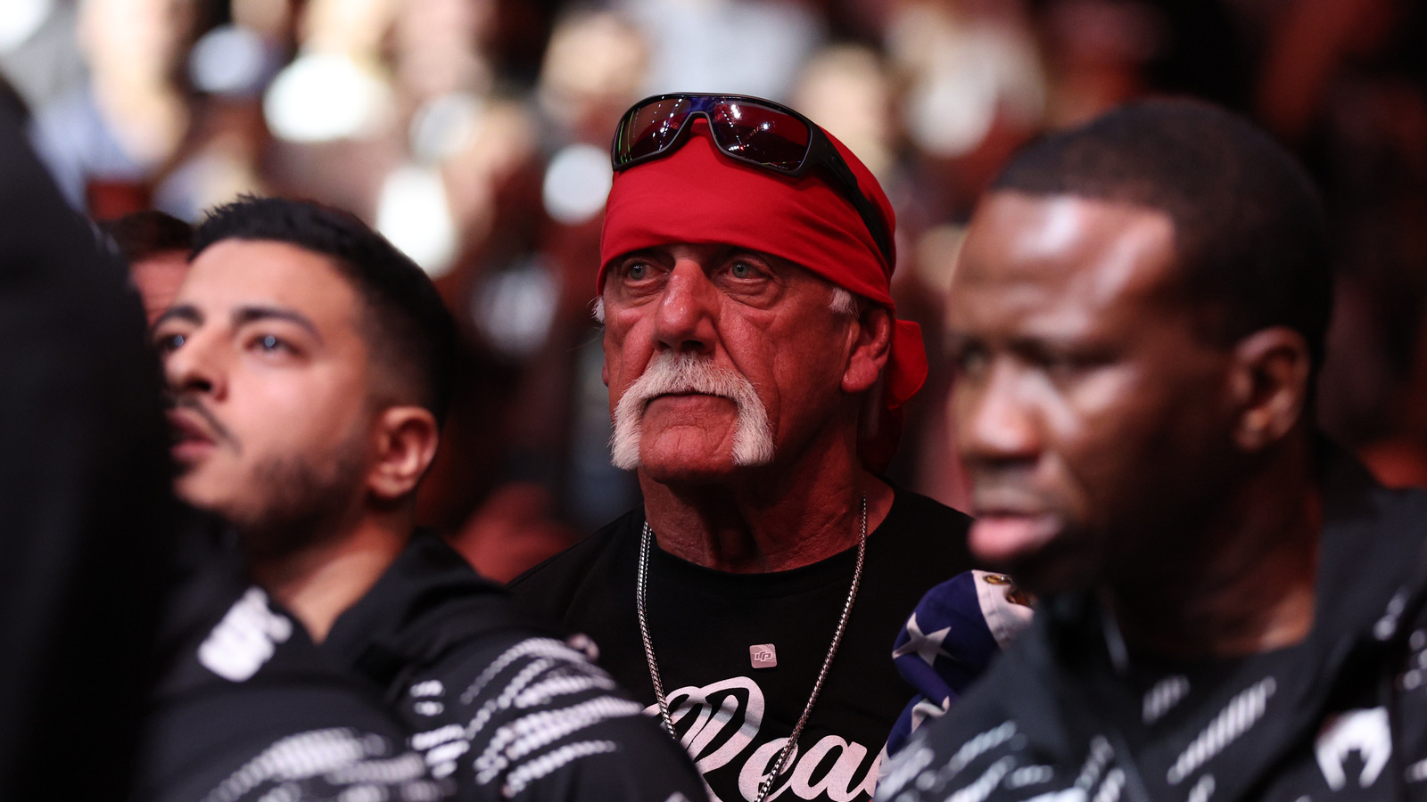 WWE NXT Star Criticizes Hulk Hogan Tributes Amid Past Controversies ...