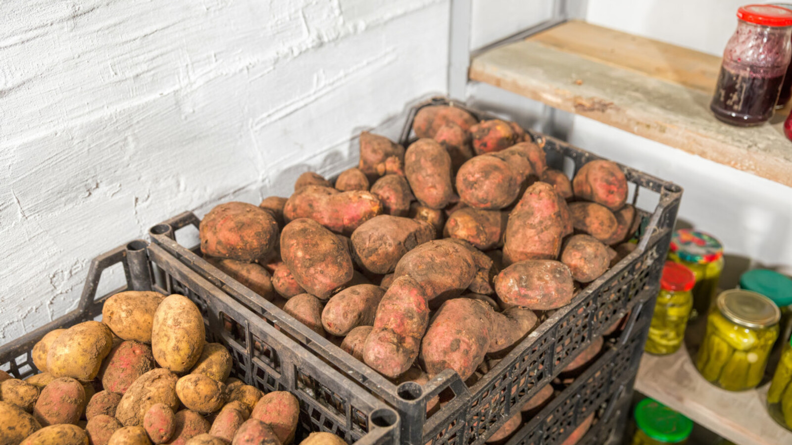 How to Store Root Vegetables for Winter | Yardbarker