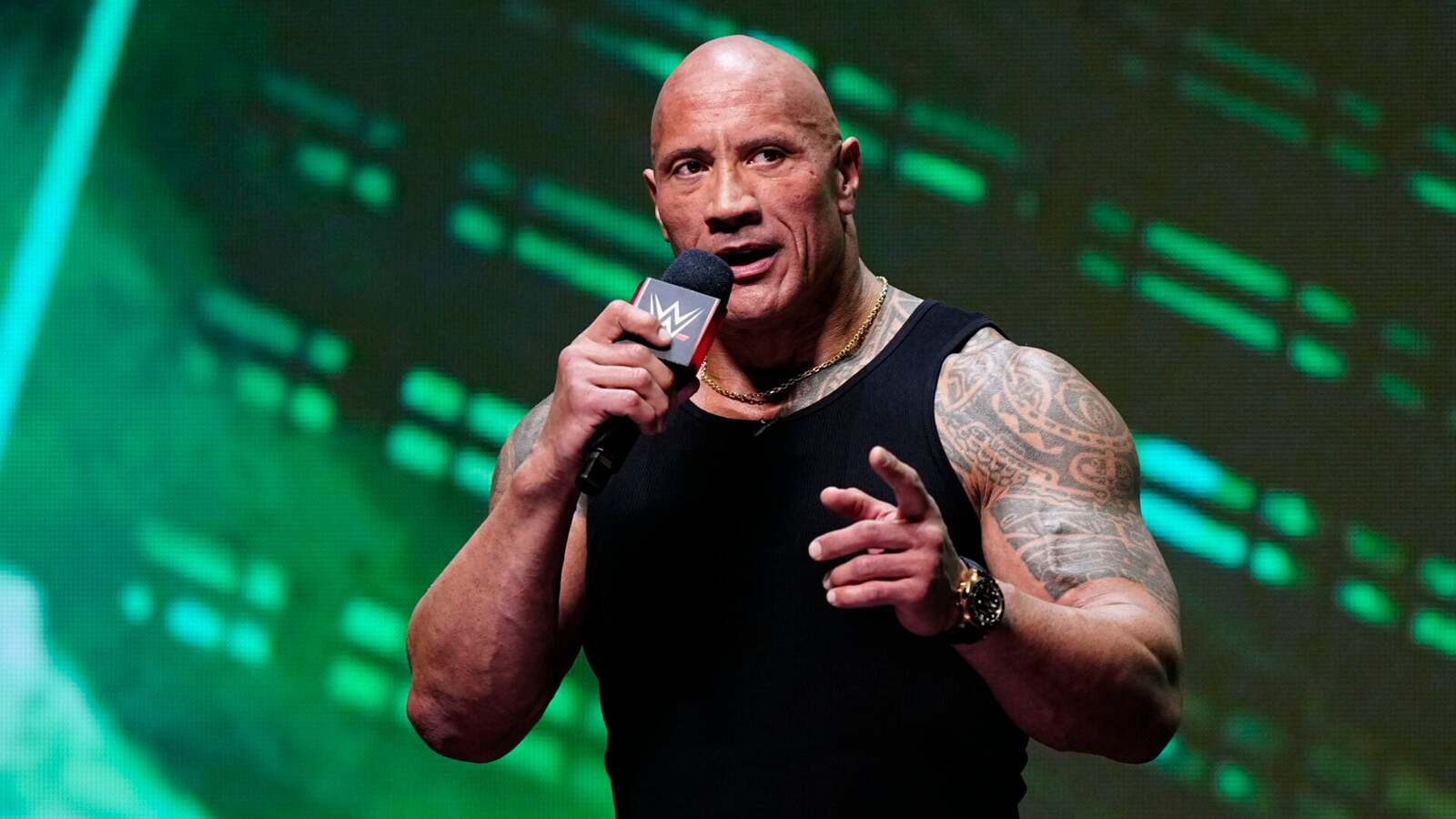 Gary Vaynerchuk leaves The Rock and Steve Austin off his wrestling ...