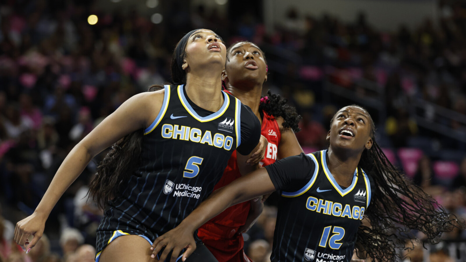 Chicago Sky Player Lands New Job Outside of WNBA After Final Game of ...