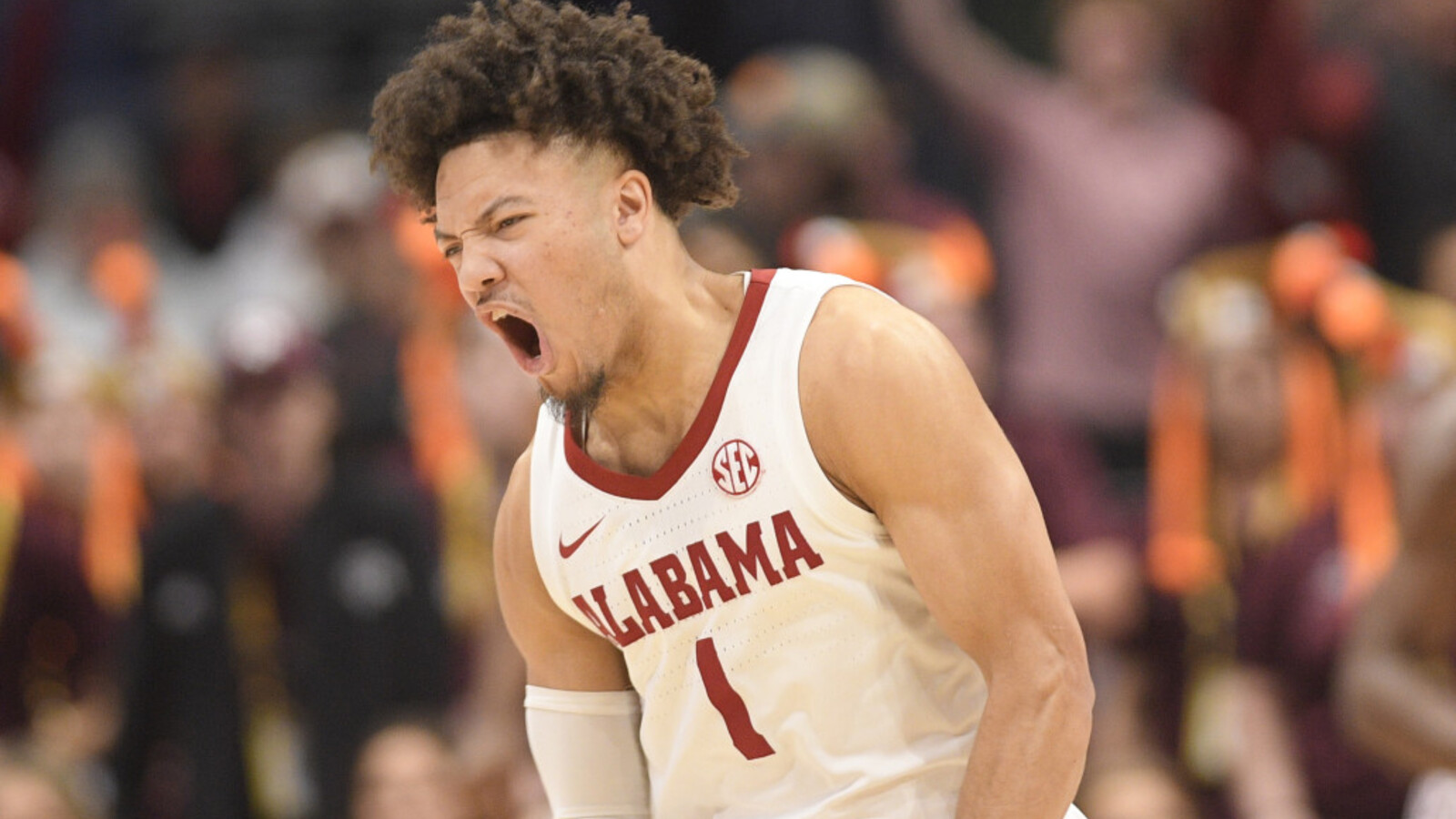 Mark Sears Named Third Team All-American by National Association of ...