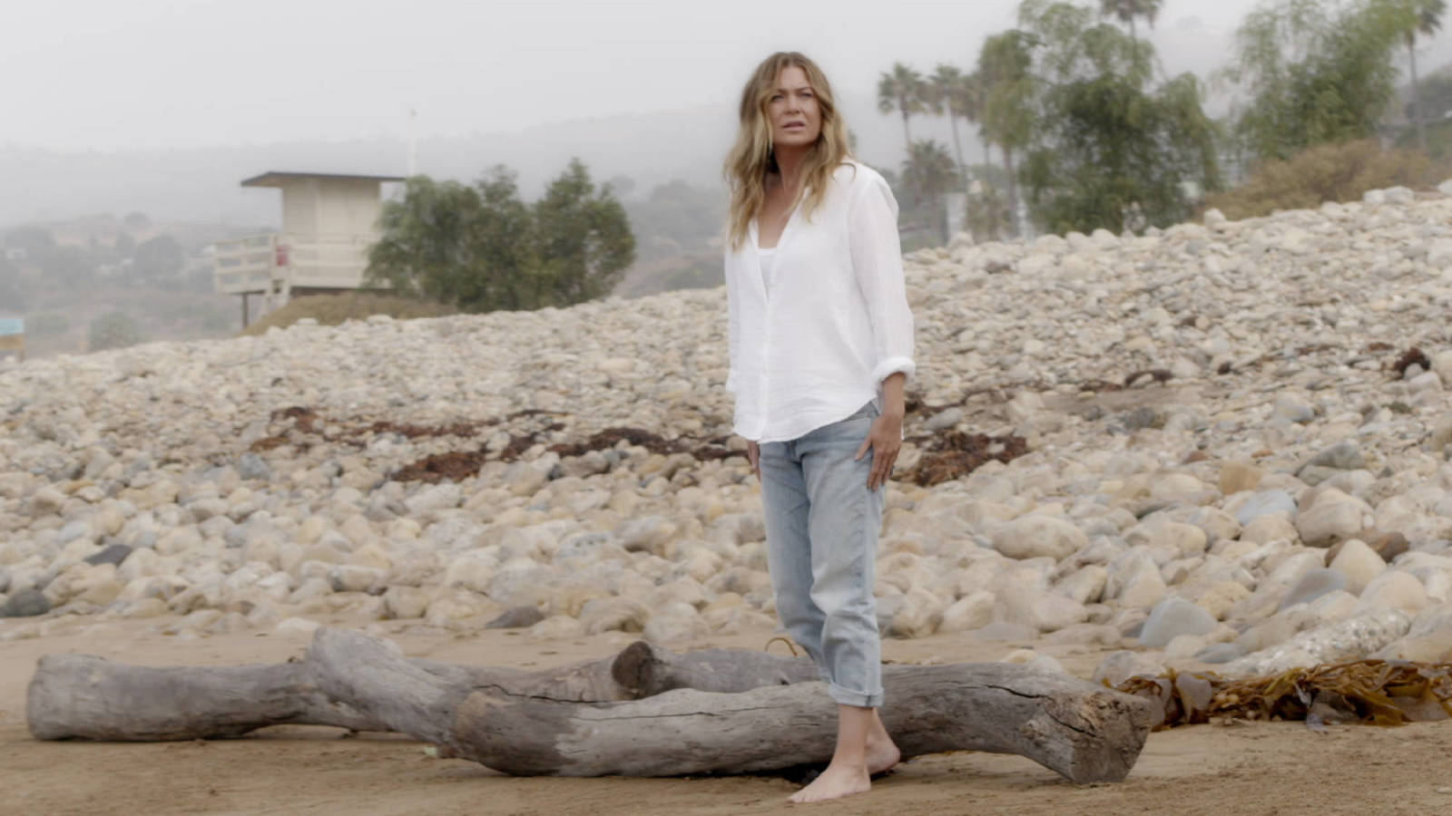 'Grey's Anatomy' recap: Two beloved ex-characters visit Meredith's ...