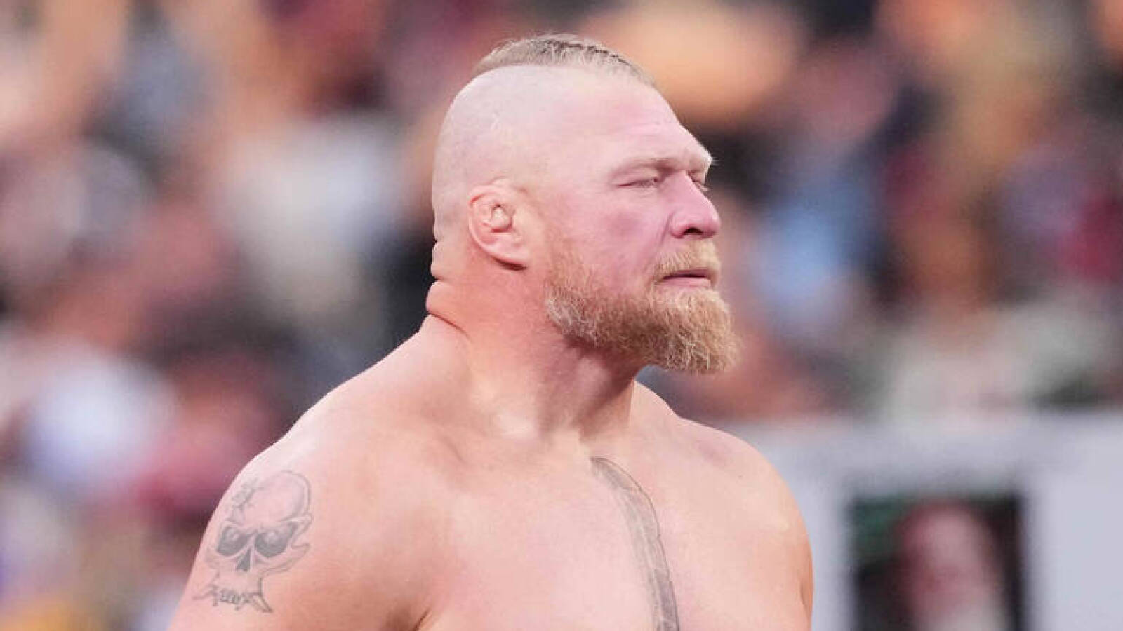 Brock Lesnar Chest Tattoo