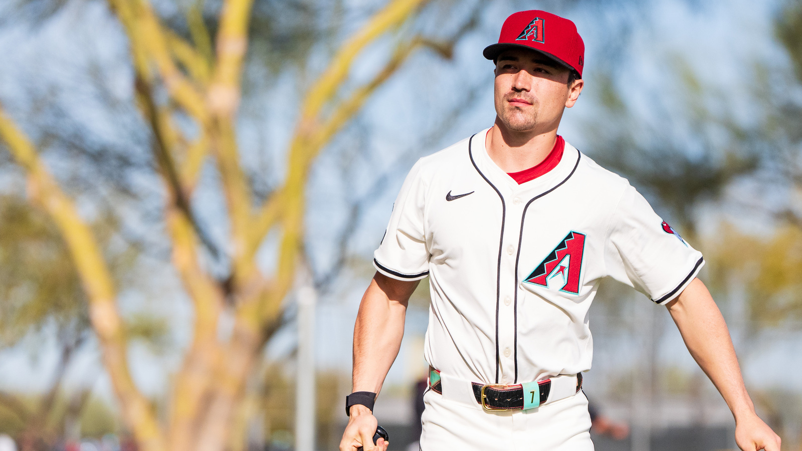 Another Arizona Diamondback placed in ESPN top baseball positional ...