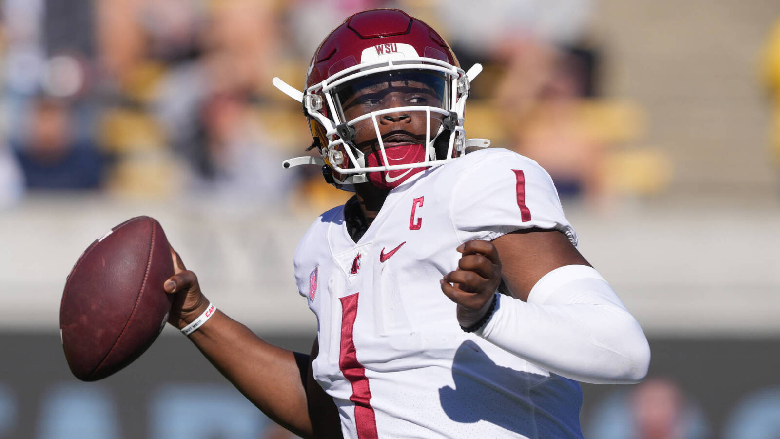 WSU QB Cameron Ward makes decision on transfer portal | Yardbarker