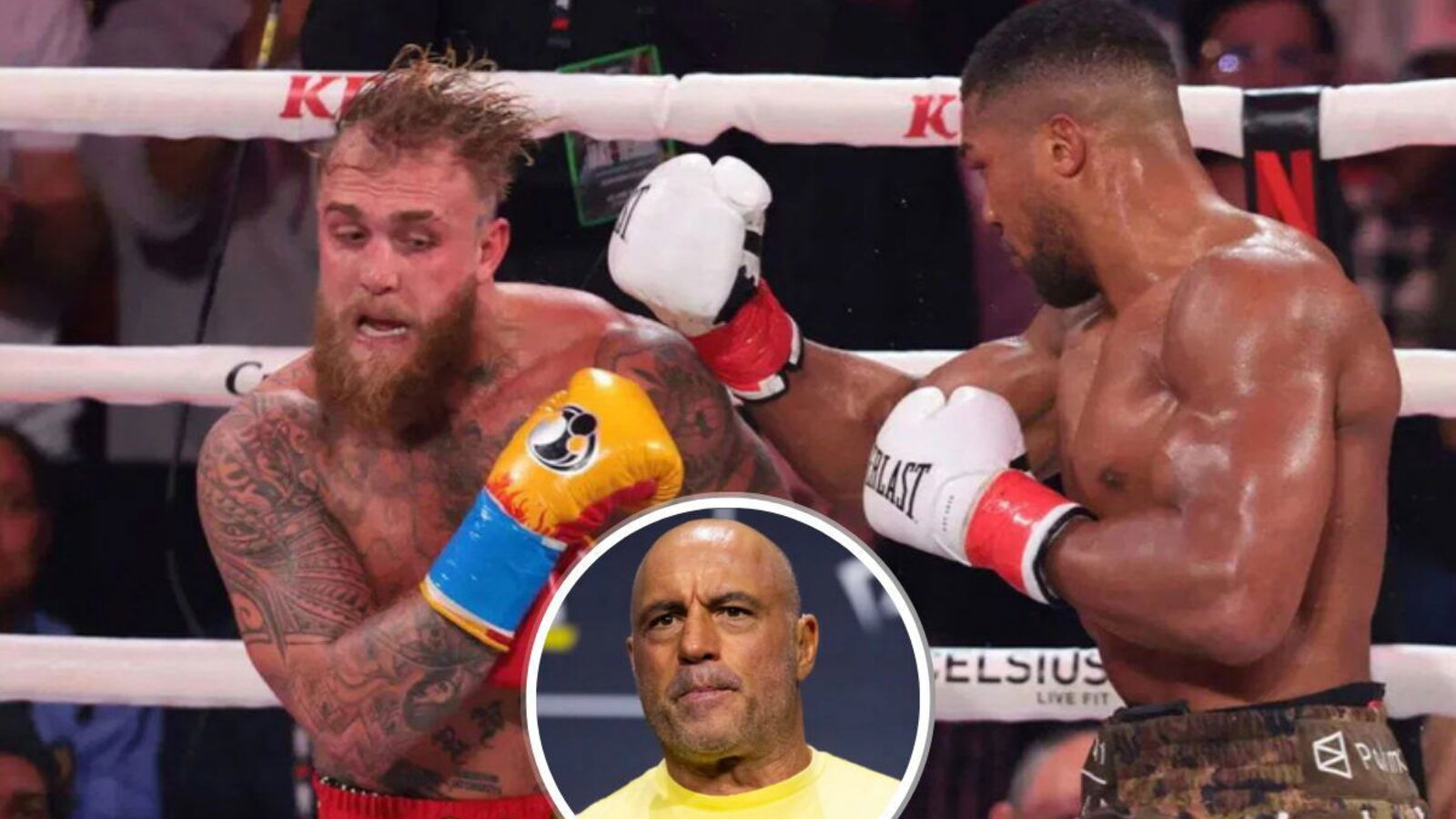 Joe Rogan Urges Jake Paul to Retire Young as Anthony Joshua KO Raises ...
