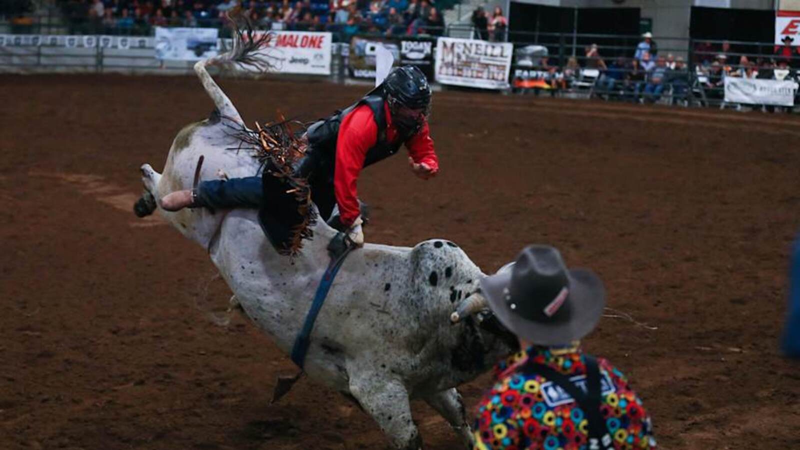 NFR Insider: Meet the Guys of Bull Riding #14 Tyler Bingham | Yardbarker