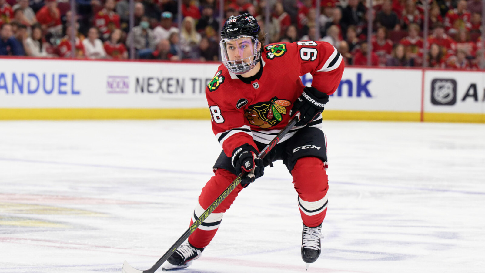 Connor Bedard Wins 2024 Calder Trophy as Rookie of the Year | Yardbarker