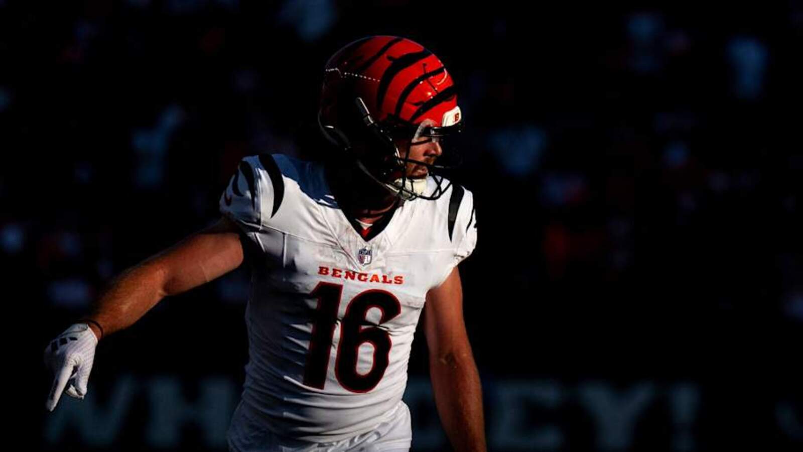 Former Bengals Receiver Trenton Irwin Signing With Carolina Panthers ...