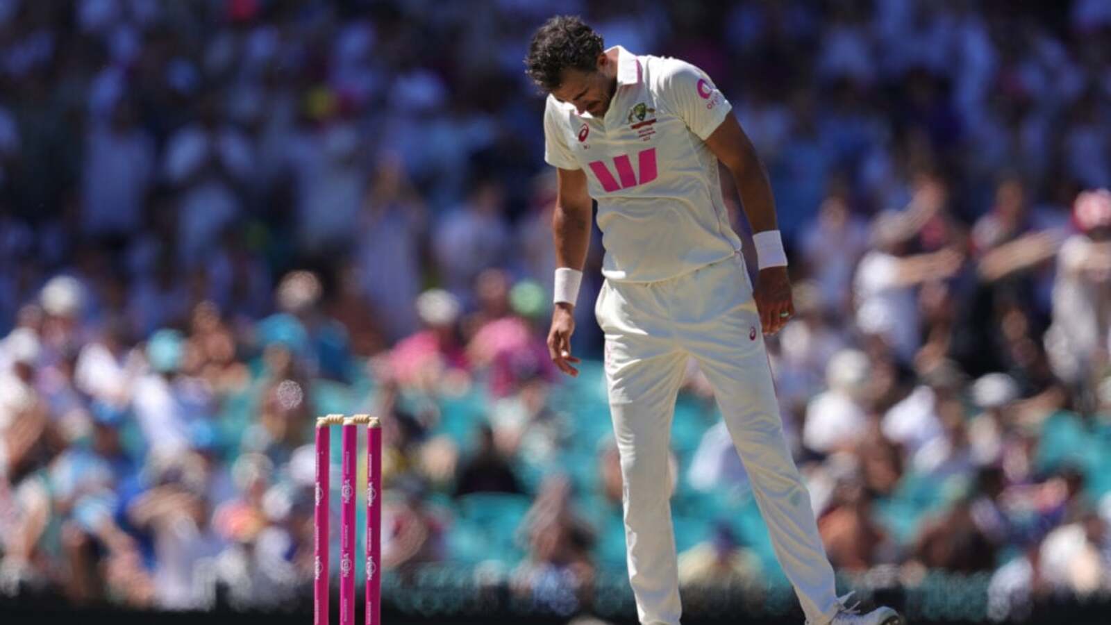 When will Mitchell Starc retire, the Australian cricket star drops a ...