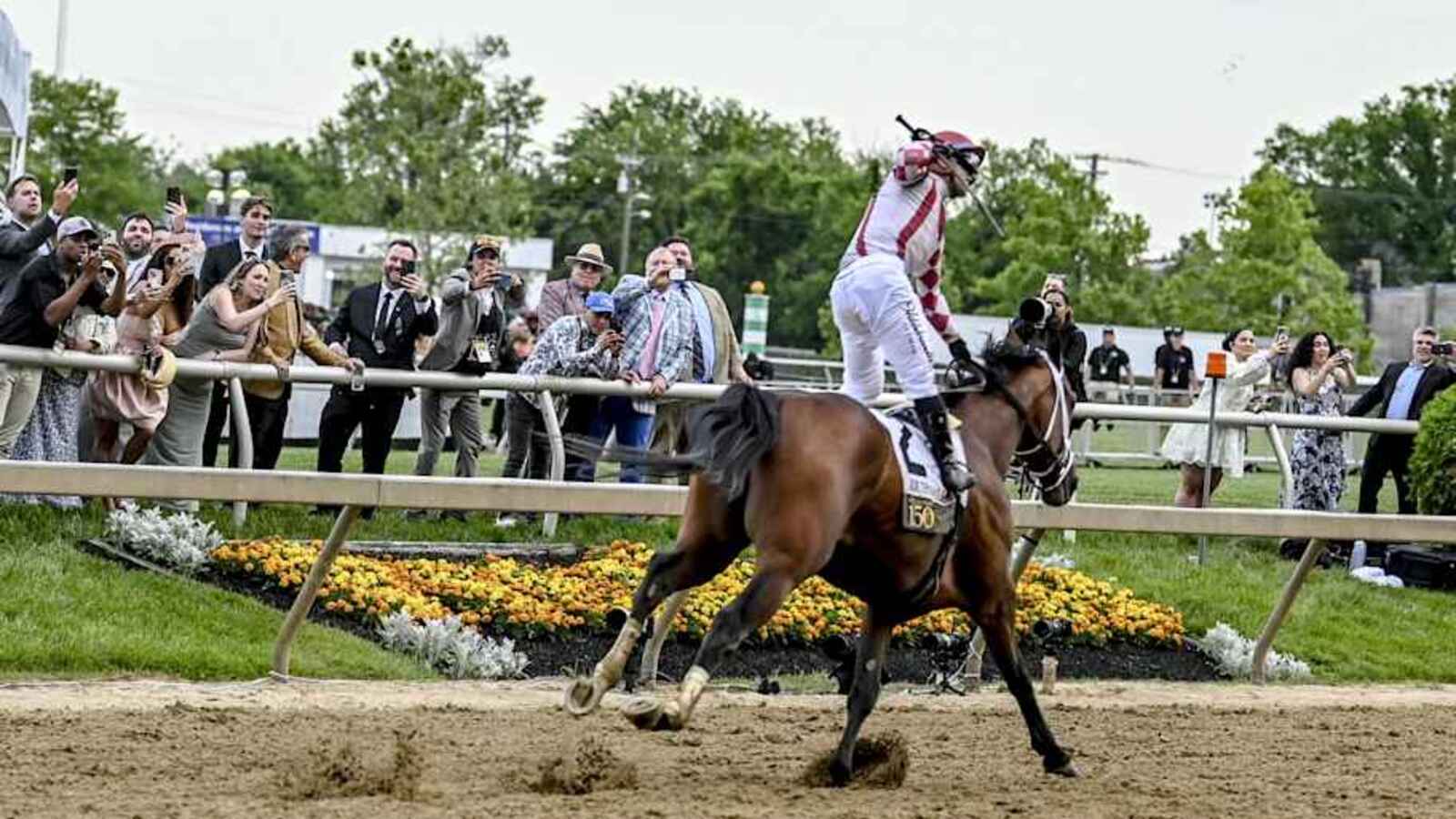 Preakness Winner Journalism to Return in Haskell at Monmouth Park ...