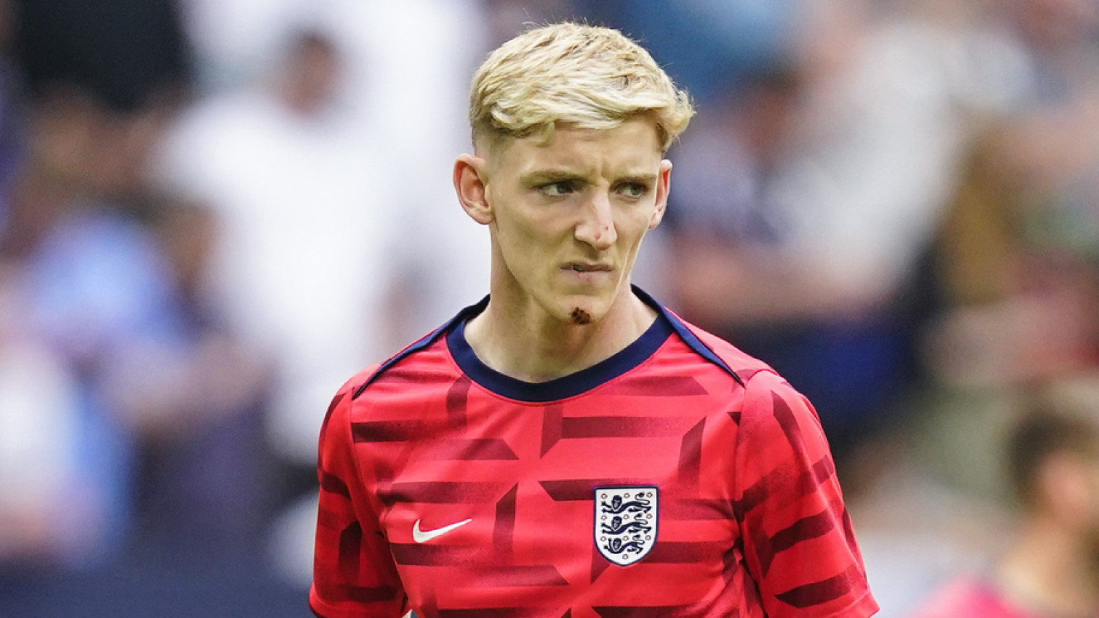 Anthony Gordon transfer reality clear as Liverpool negotiations update ...