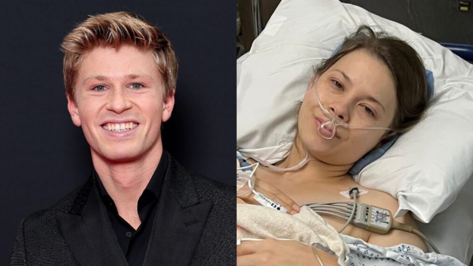 Robert Irwin Gives Update on Bindi Irwin’s Health Amid Endometriosis ...