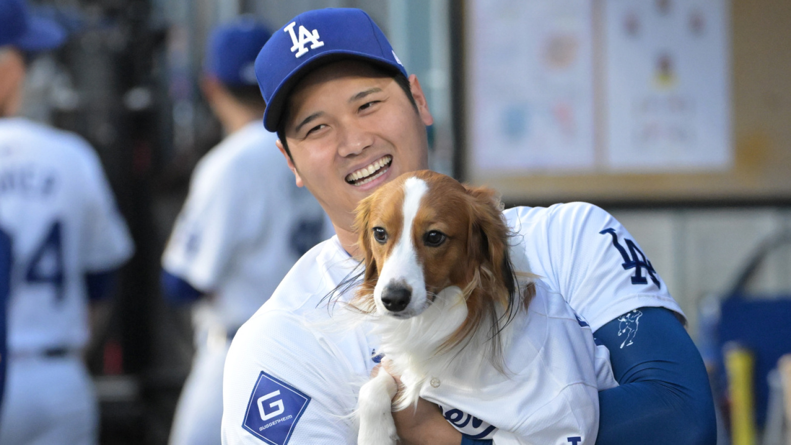 Ohtani's dog has his MVP moment with adorable first pitch | Yardbarker