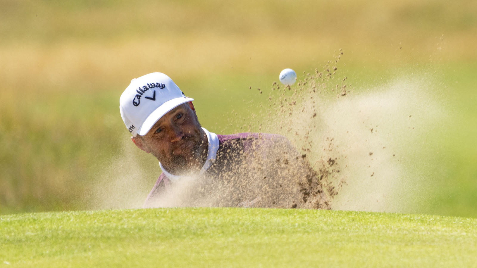 Golf best bets: 3M longshot targets from the guy who gave you Brian ...