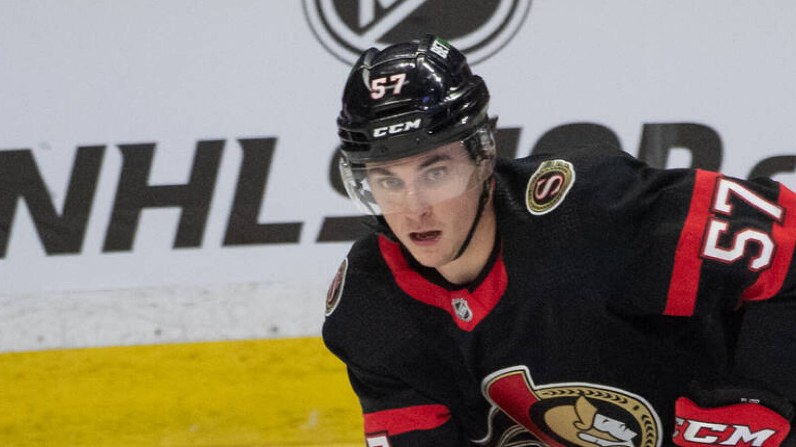 Senators have sent several offers to RFA Shane Pinto | Yardbarker