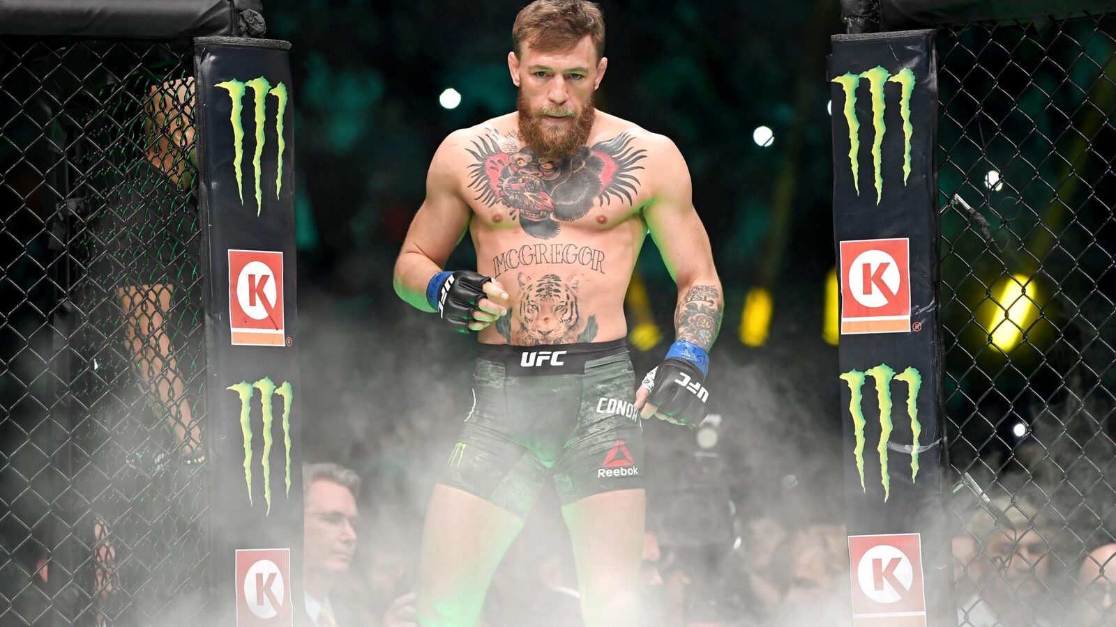 How Much Does A UFC Fighter Get Paid? Everything You Need To Know About ...