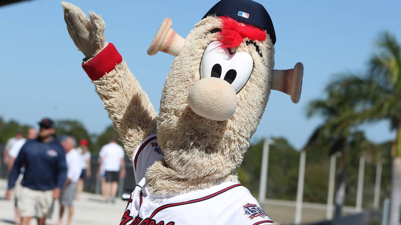 Watch: Braves mascot parachutes into Truist Park ahead of playoff game ...