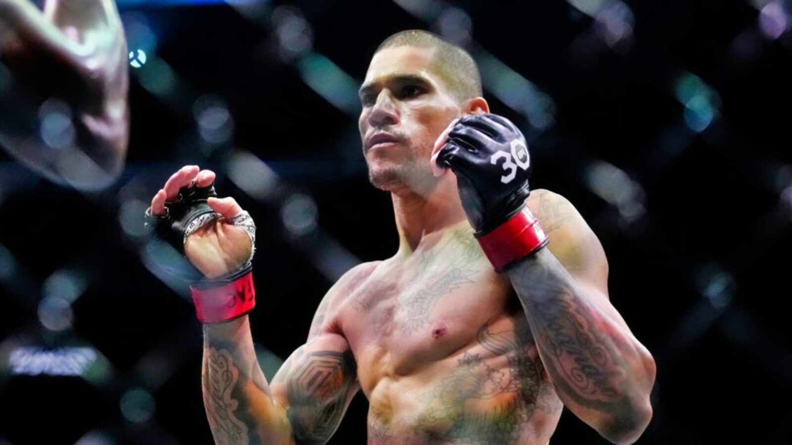 Alex Pereira Vacates UFC Light Heavyweight Title; New Champion to Be ...