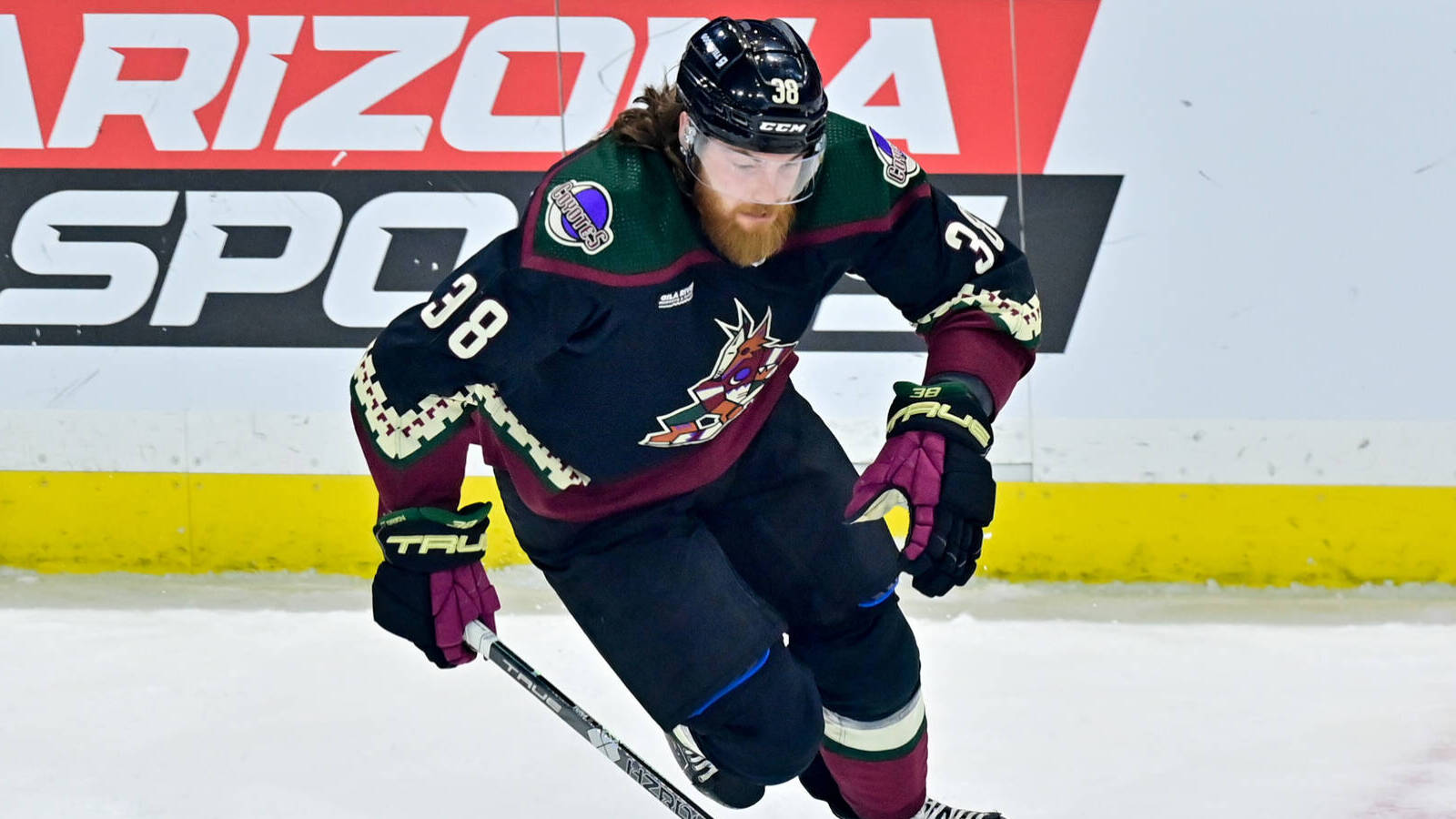 Coyotes forward Liam O’Brien fined $2,018.23 for roughing Vancouver’s ...
