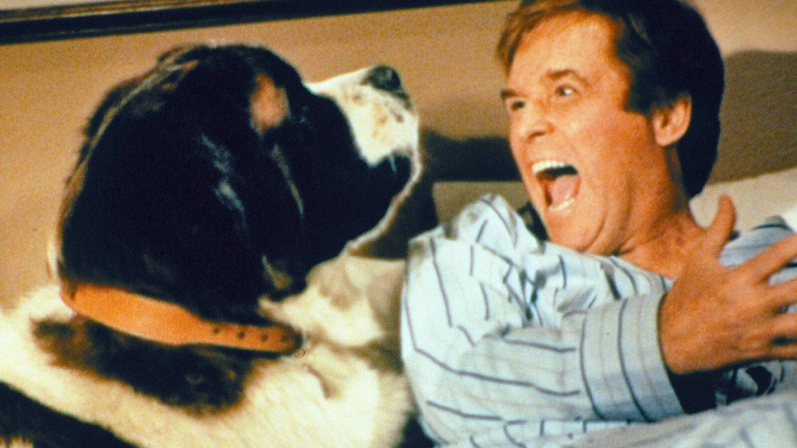 Top dogs: The 20 most recognizable canine film stars | Yardbarker