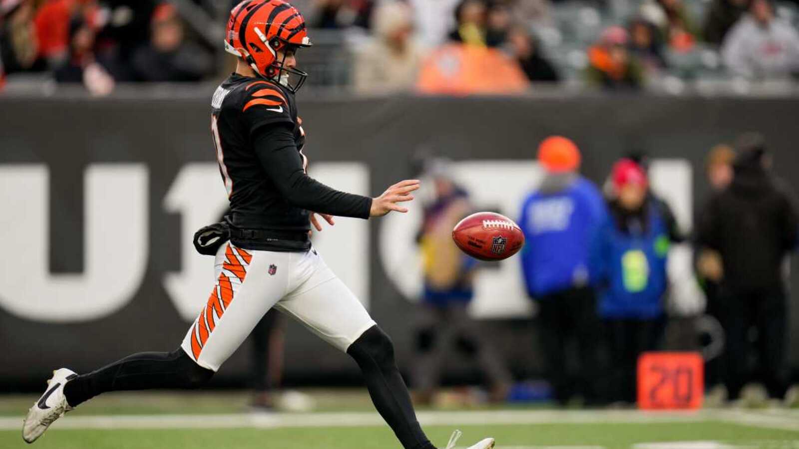 Bengals Roster Breakdown: Brad Robbins will be feeling the pressure ...