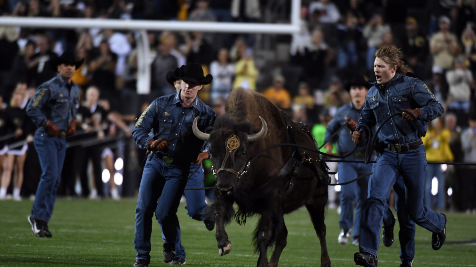 TRENDING: Colorado Fan Suing NFL for Impact on his “Emotional Well ...