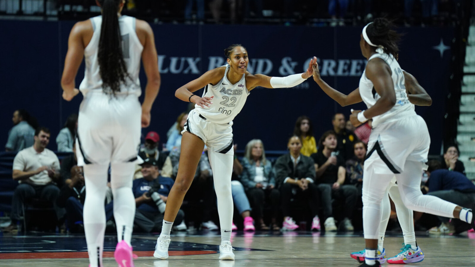 Former WNBA MVP Shared a Wholesome Moment With A'ja Wilson | Yardbarker