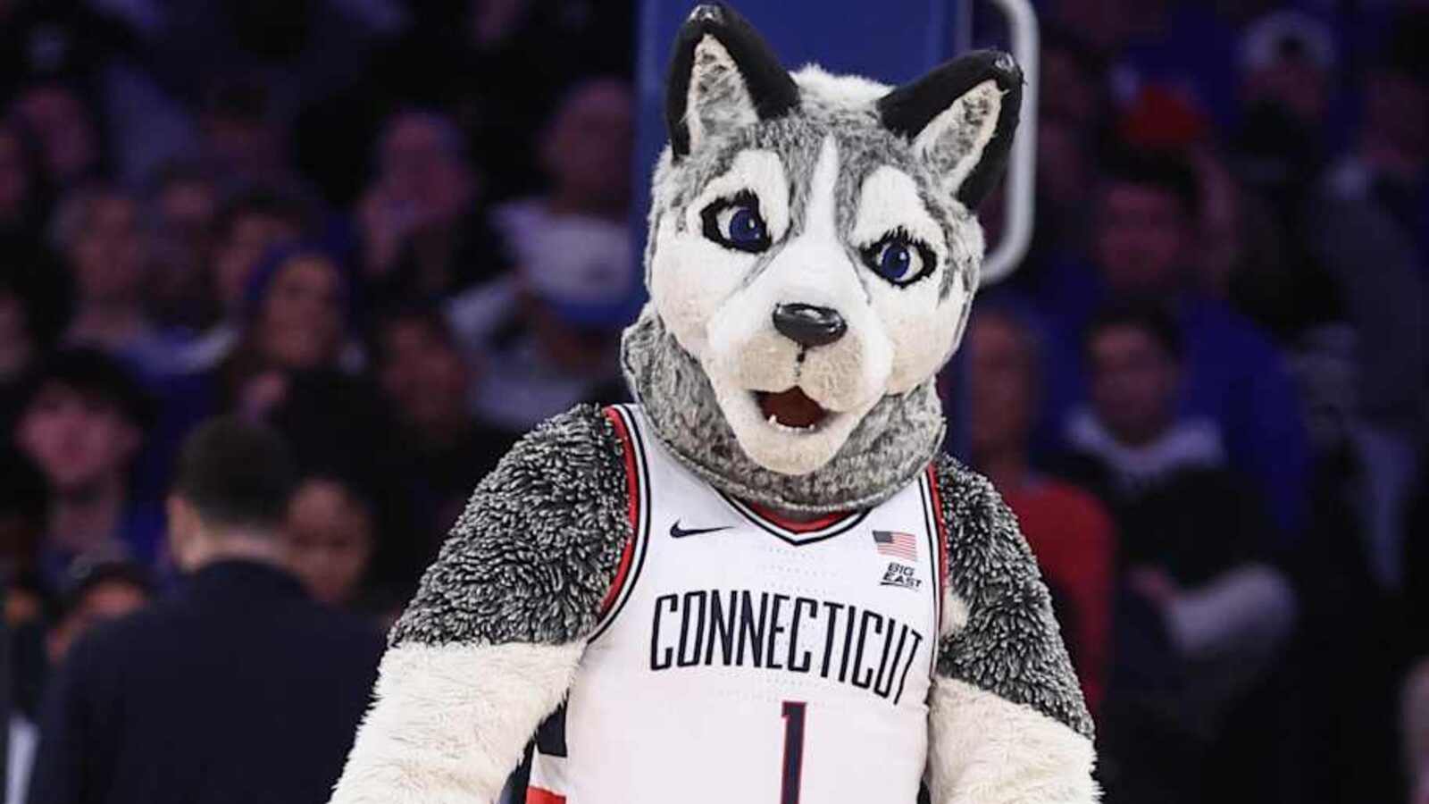 UConn Mascot Has Adorable Viral Moment After Butler Beatdown | Yardbarker