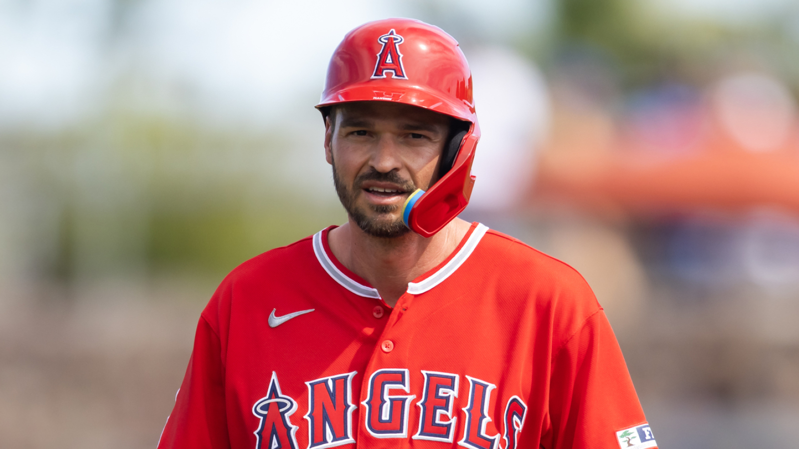 2026 Transactions: Angels Promote Mancini, Cardinals Option Scott ...