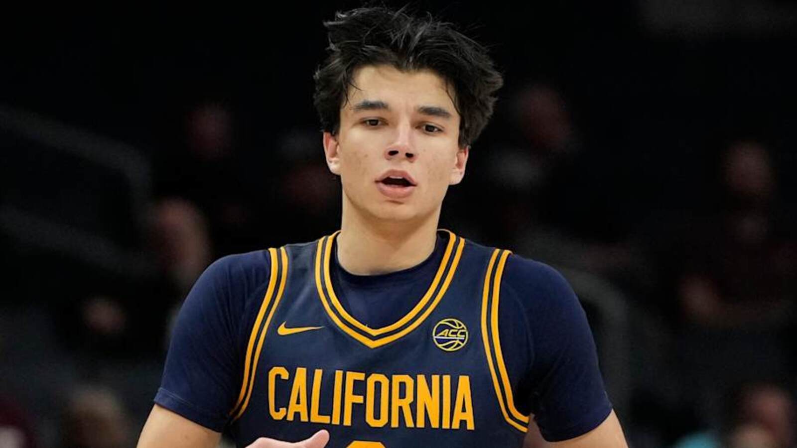 Was Illinois' Andrej Stojakovic Snubbed From Jon Rothstein's Impact Transfers List? | Yardbarker