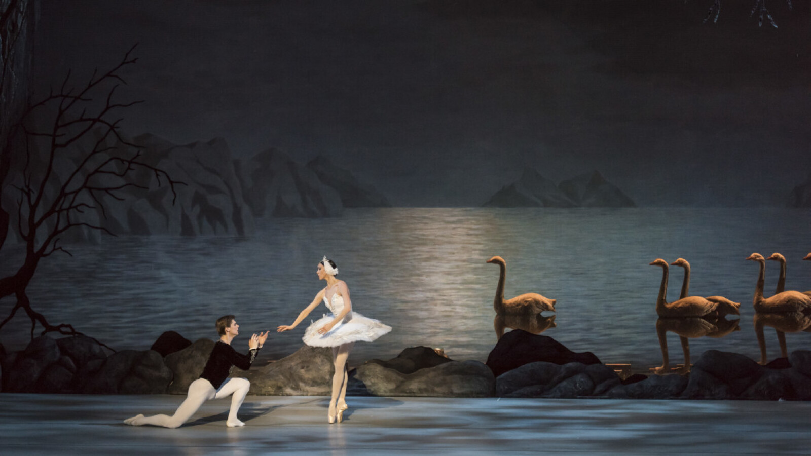 Legendary Ballet Dancer Dead From Fall At 39 Years Old | Yardbarker