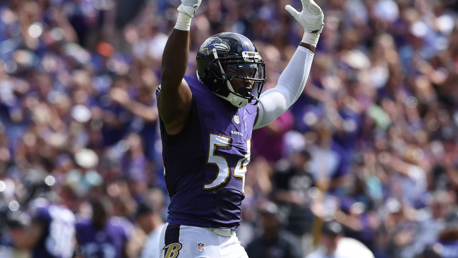 Ravens make decision on new DC | Yardbarker