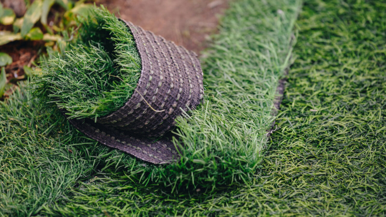 How to Transition from Artificial Turf to a Real Grass Lawn | Yardbarker