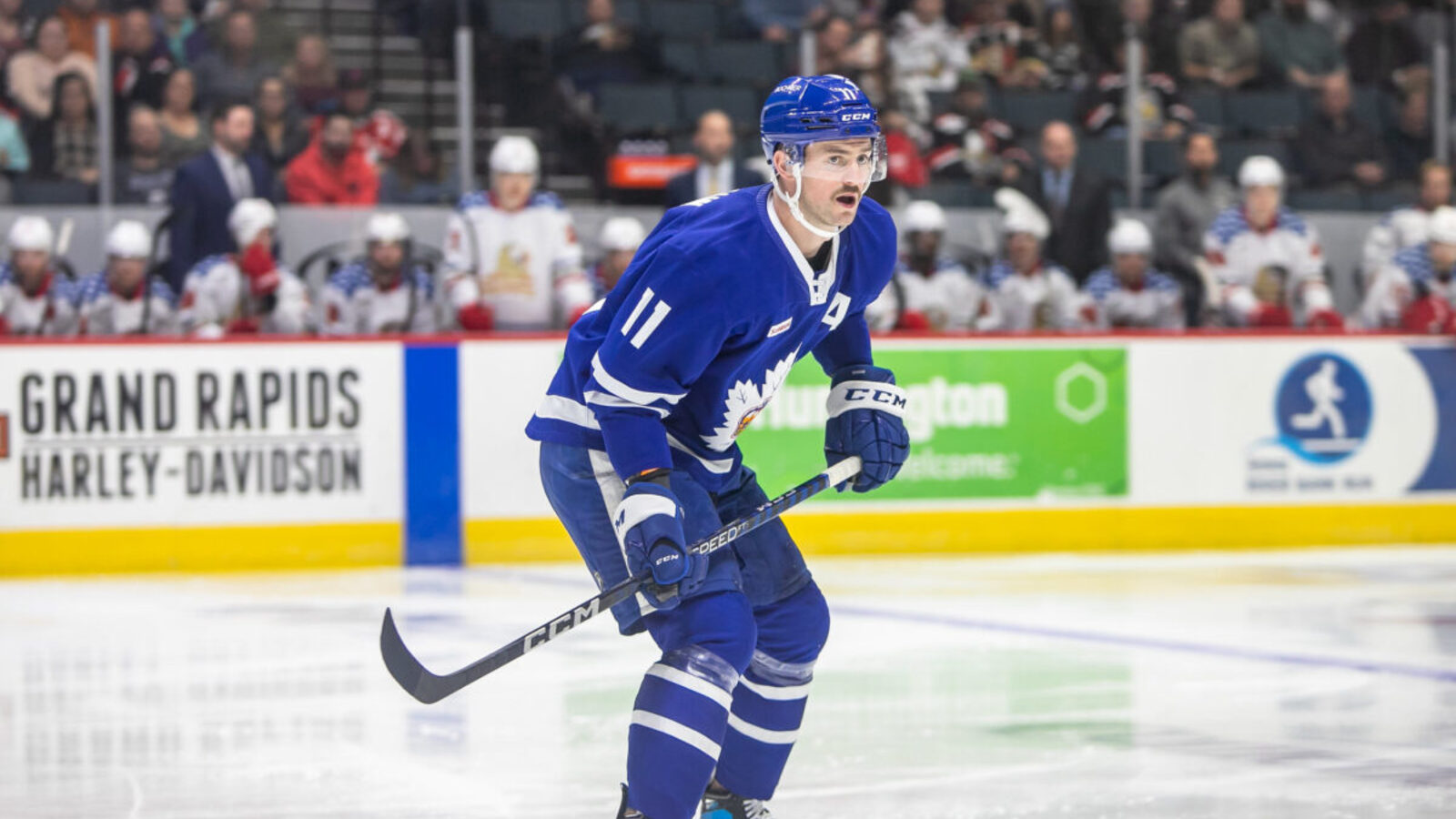Toronto Marlies’ Big Week Pushes Them Closer to the Playoffs | Yardbarker