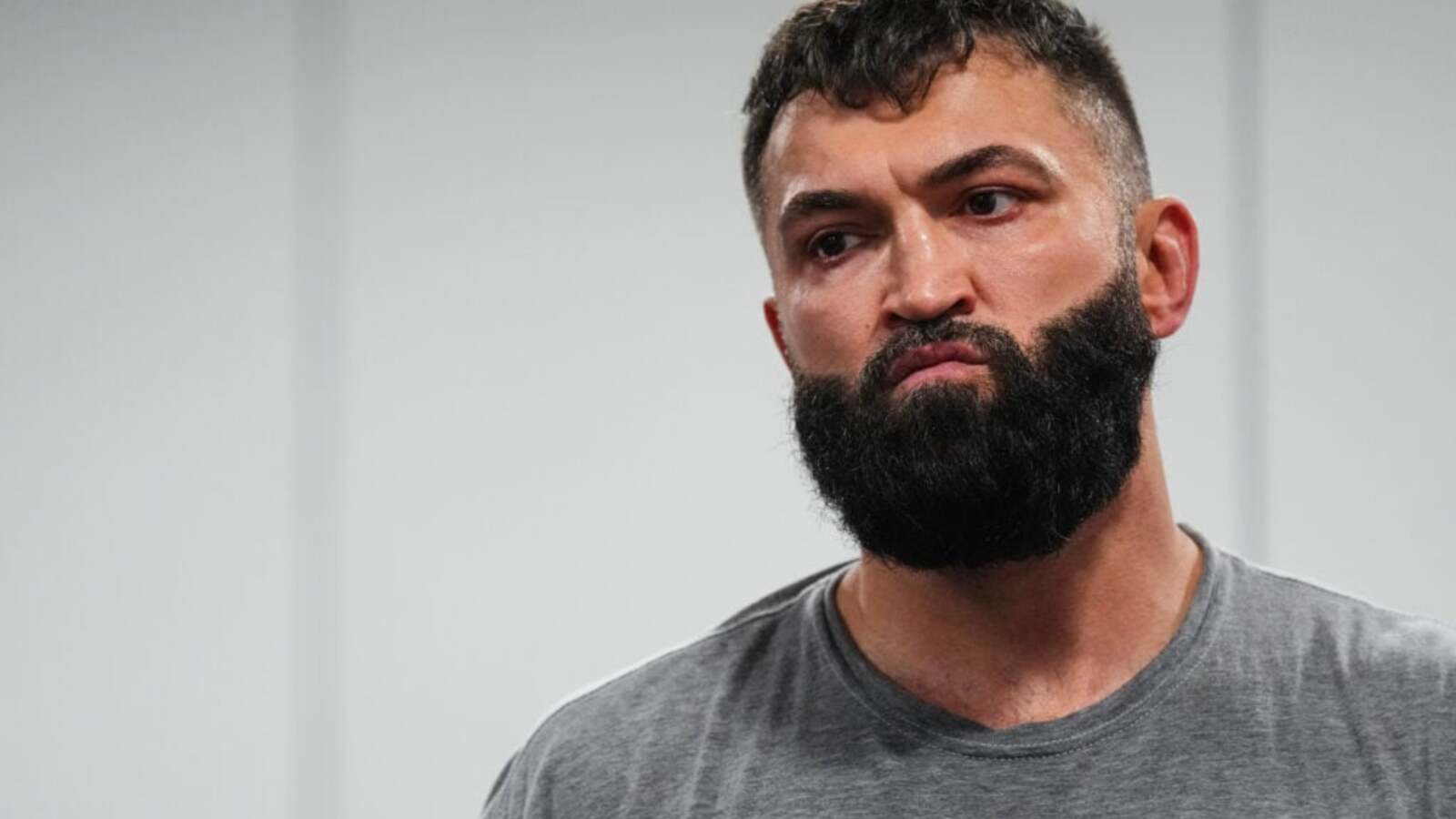 Andrei Arlovski addresses brawl with Jack Doherty at Jake Paul vs ...