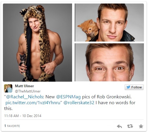 Rob Gronkowski poses with kittens | Yardbarker.com